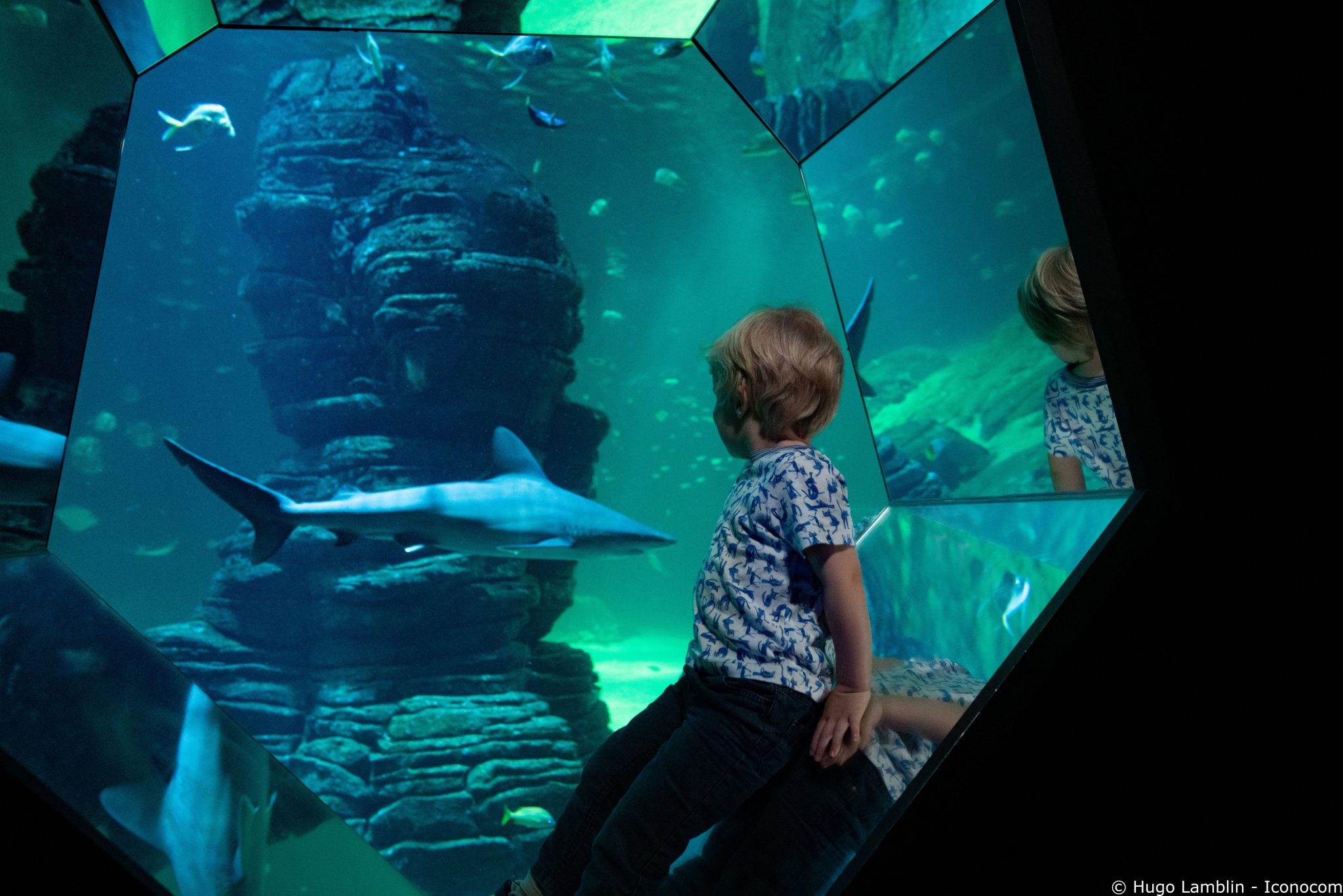 Visiter Nausicaá, le plus grand aquarium d'Europe à Boulogne-sur-Mer ...